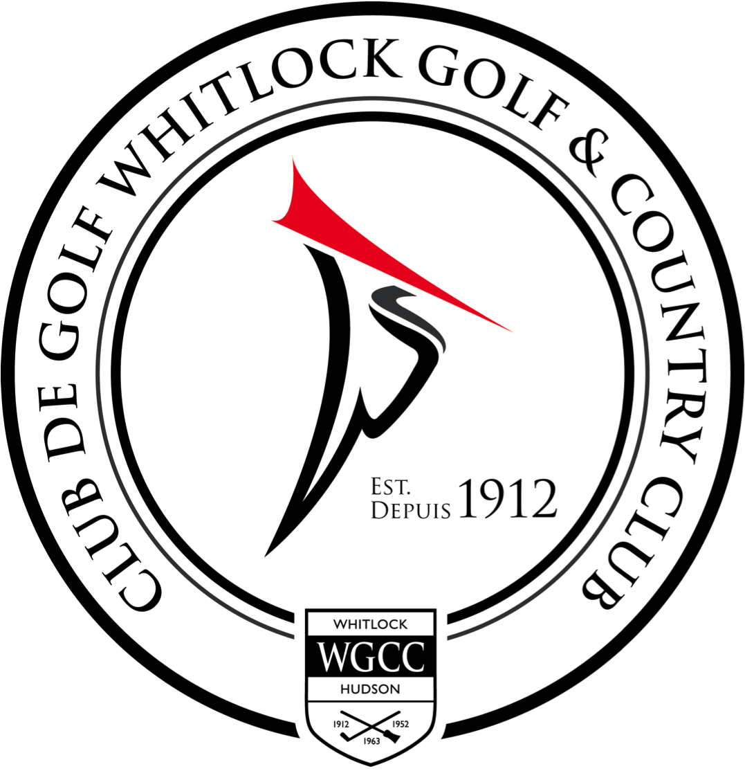 Download Logo - Think Fun Chocolate Fix PNG Image with No Background ...