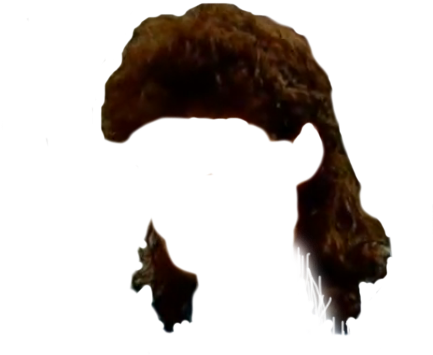 Mullet Hair Png Png Royalty Free Library - Mullet Hair Png - Free ...