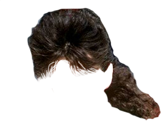 Mullet Hair Png - Mullet Png - Free Transparent PNG Download - PNGkey