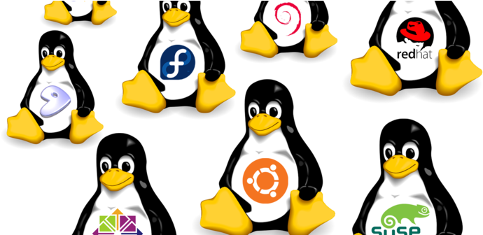 Download Linux Mascote PNG Image with No Background - PNGkey.com