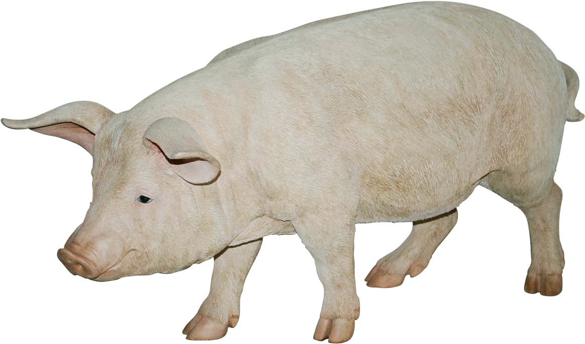 Pig Png Image - Pig Png Transparent Background - Free Transparent PNG ...