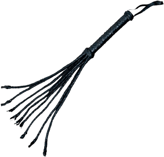 Download Cat O Nine Tails Whip - Different Types Of Whips PNG Image ...