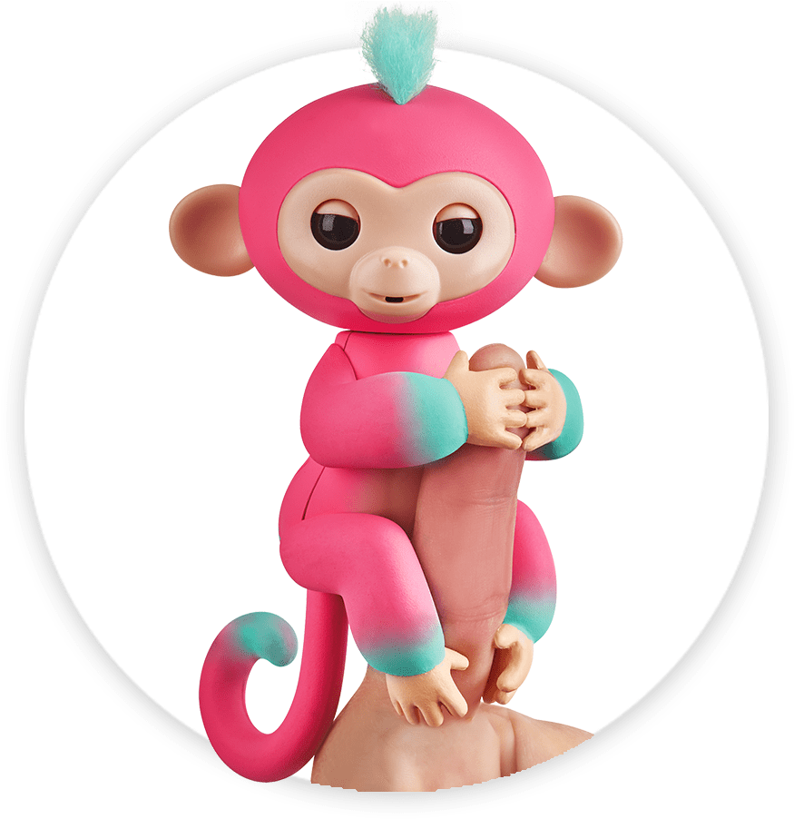 Download Fingerlings Monkey 2tone Ombre Melon - Fingerling Monkey PNG ...