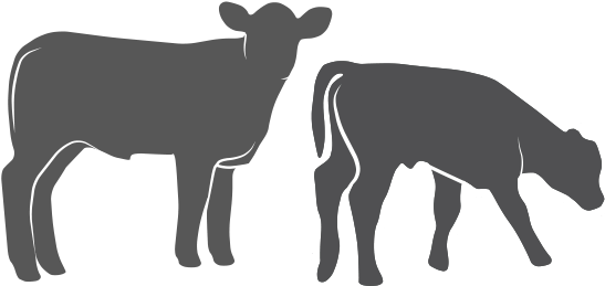 Calves - Beef Calf Silhouette - Free Transparent PNG Download - PNGkey