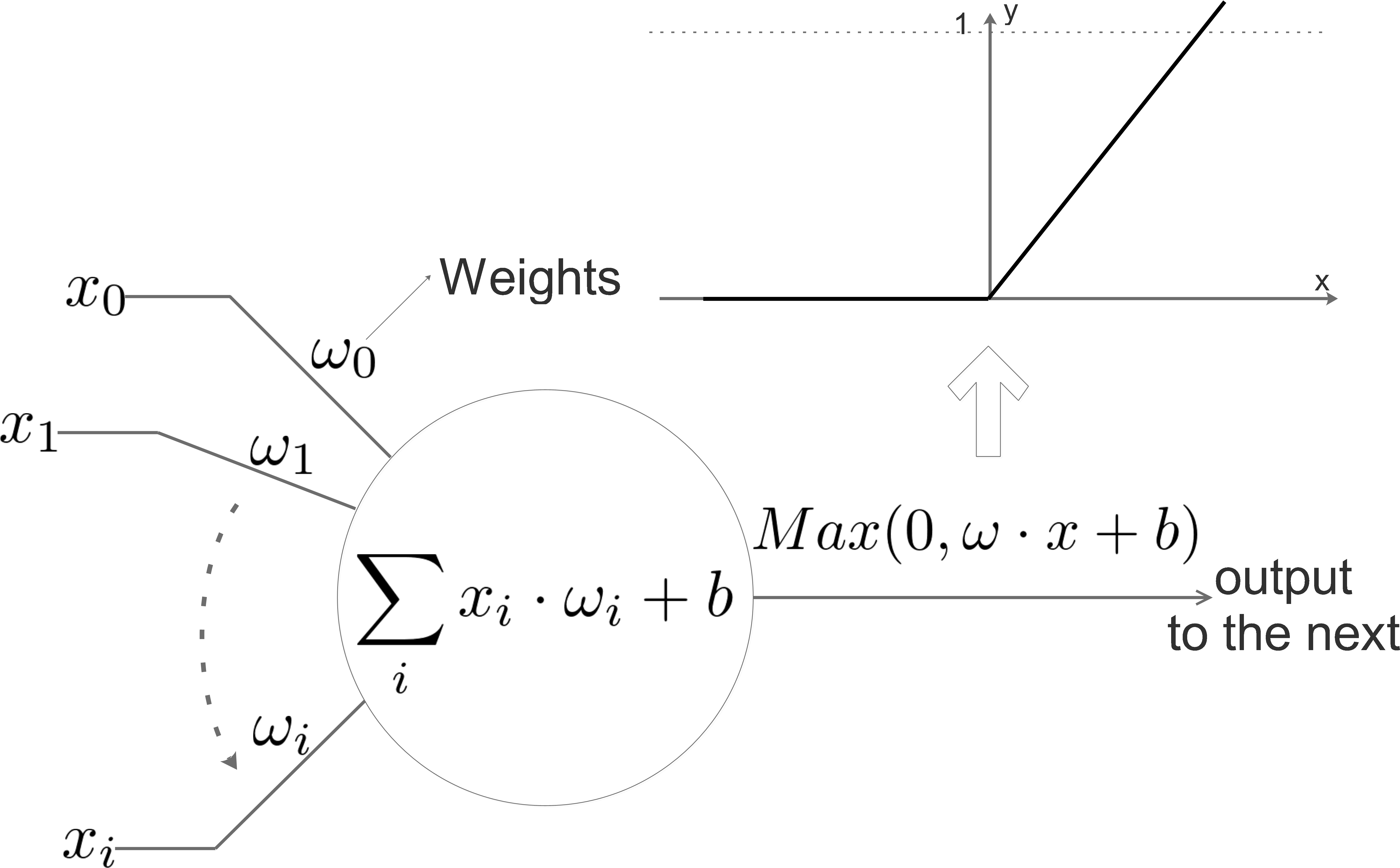 Download Neuron1 - Diagram PNG Image with No Background - PNGkey.com