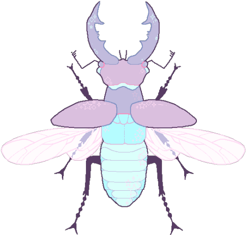 Download Jpg Freeuse Download Bugs Drawing Aesthetic - Bug Transparent ...