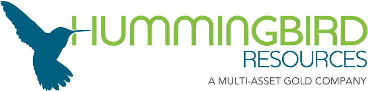 Download Hummingbird Resources PNG Image with No Background - PNGkey.com