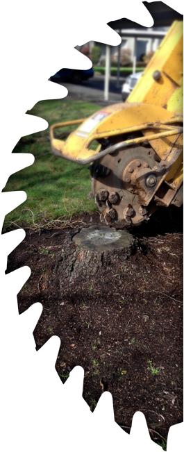 Download Stump Grinding And Removal - Lame Scie Circulaire 65 PNG Image ...