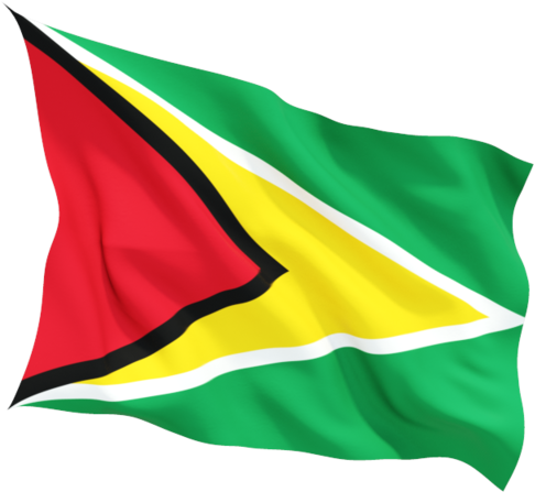 Download Guynana Flag PNG Image with No Background - PNGkey.com