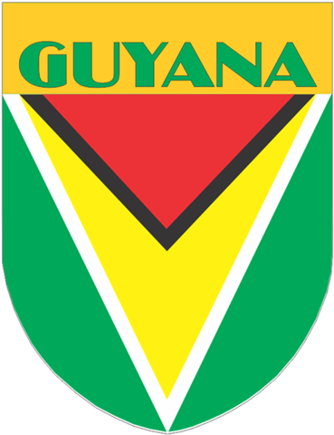 Download Flags Shield Style - Flag PNG Image with No Background ...