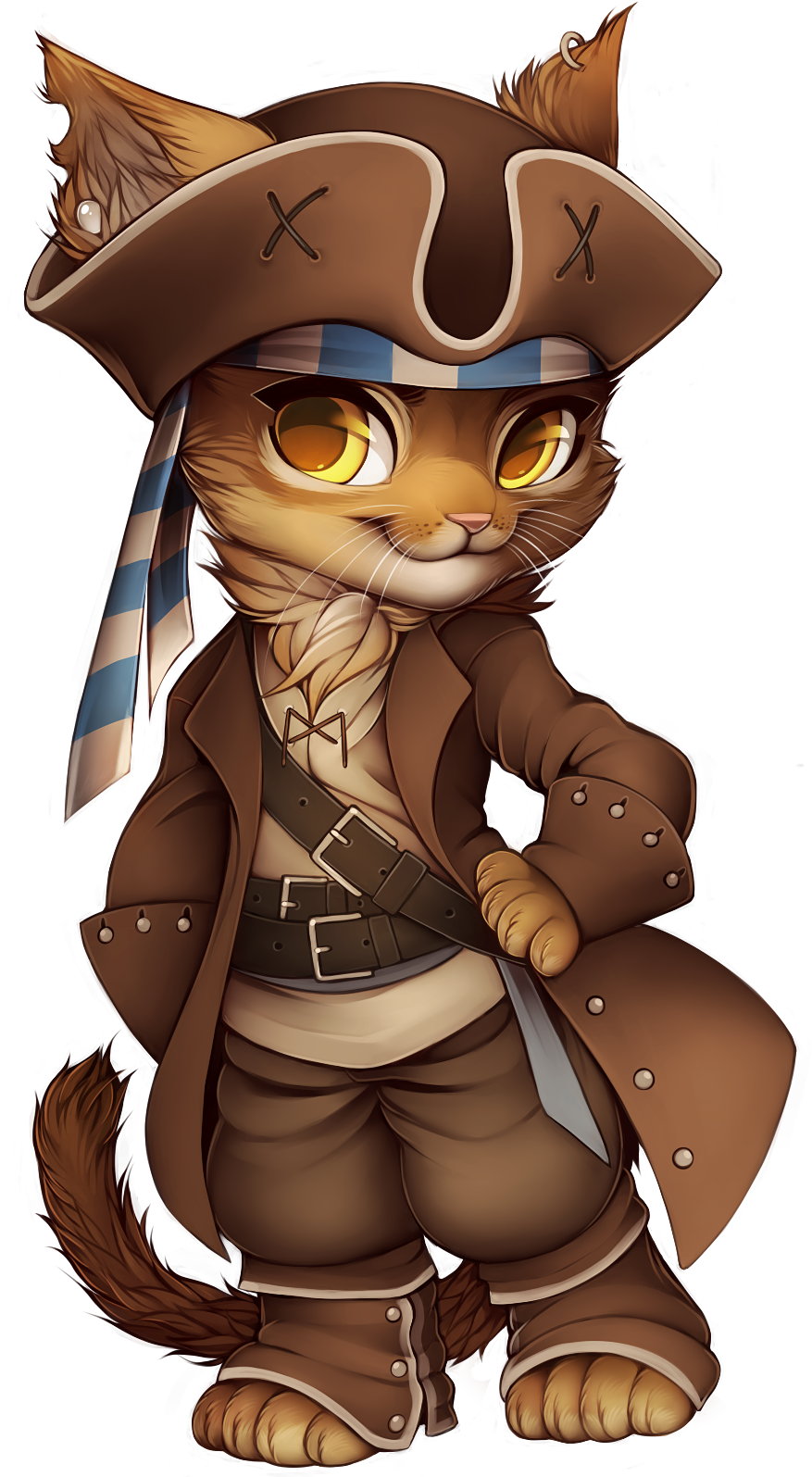 Download Pirate Cat PNG Image with No Background - PNGkey.com