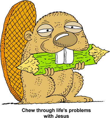 Download Chew Through - Beaver Chewing Wood Gif PNG Image with No ...