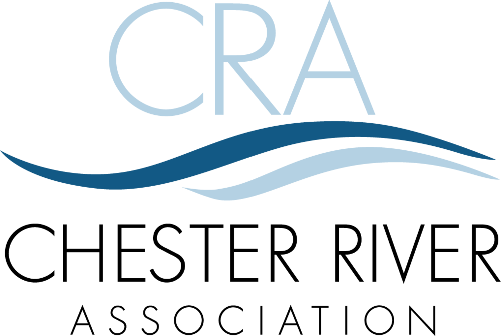 Cra Logo No Circle - Graphic Design - Free Transparent PNG Download ...
