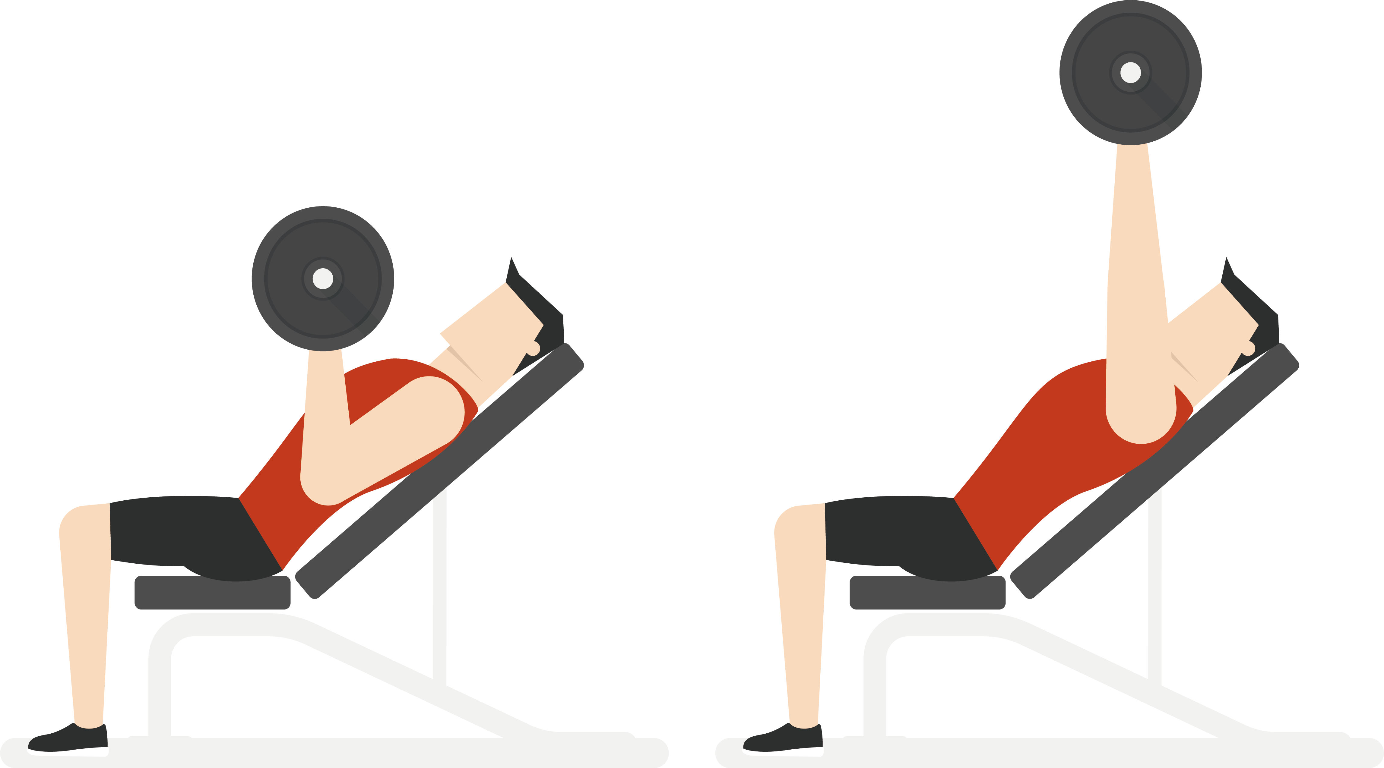 Download Exercise Bench Clipart Transparent - Gym Vector Png PNG Image ...