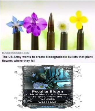 Download Photo - Biodegradable Bullets Meme PNG Image with No ...
