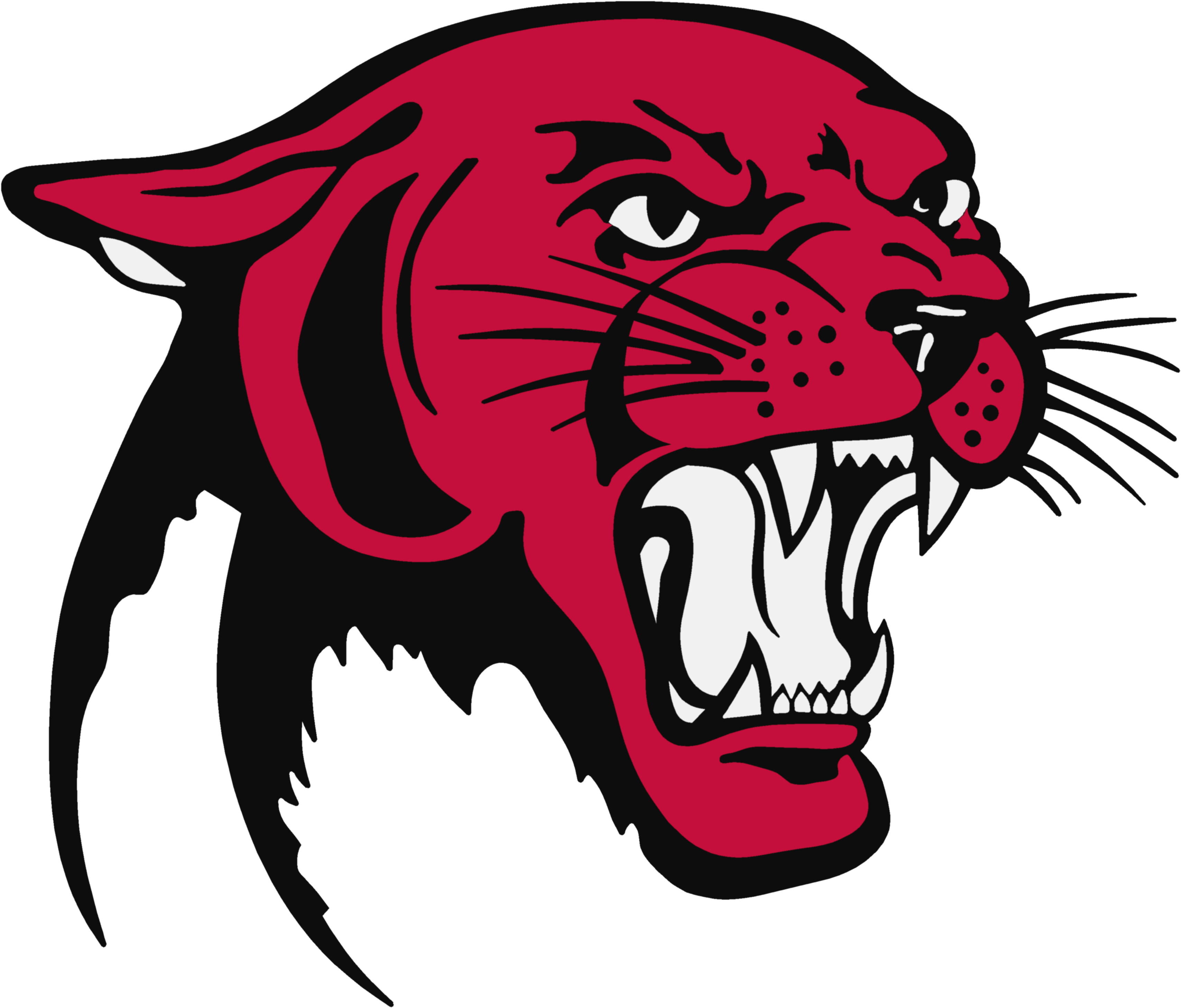 Download Panther - Kickapoo Panthers PNG Image with No Background ...