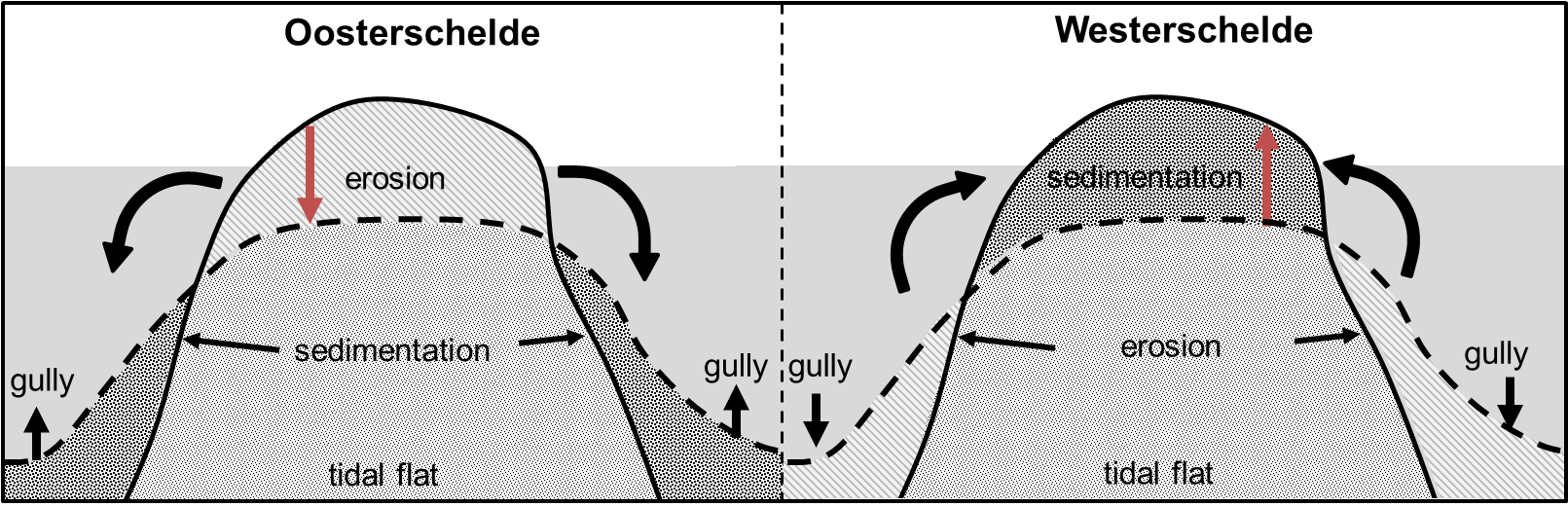 Download Reduction In Tidal Range And Tidal Velocity Has Led - Diagram ...