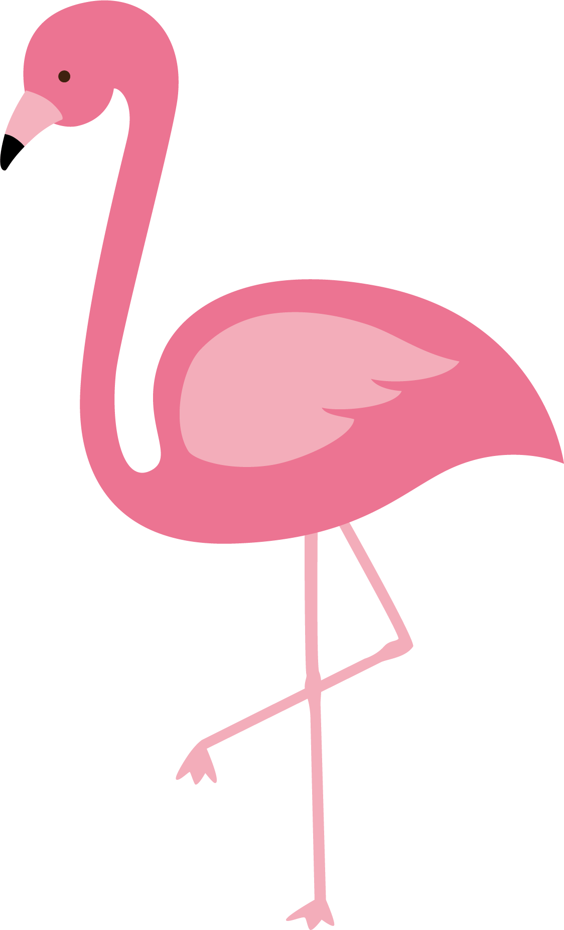 Download Flamingos Bird Euclidean Vector - Flamingo Clipart PNG Image ...