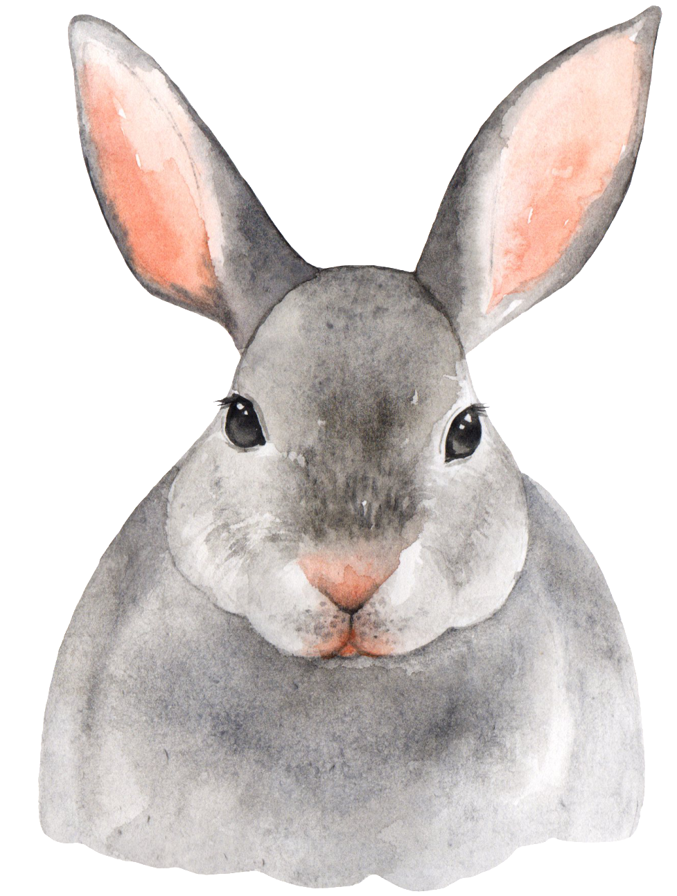 Download Hand Painted Gray Rabbit Png Transparent - My Big Fat Bullet ...