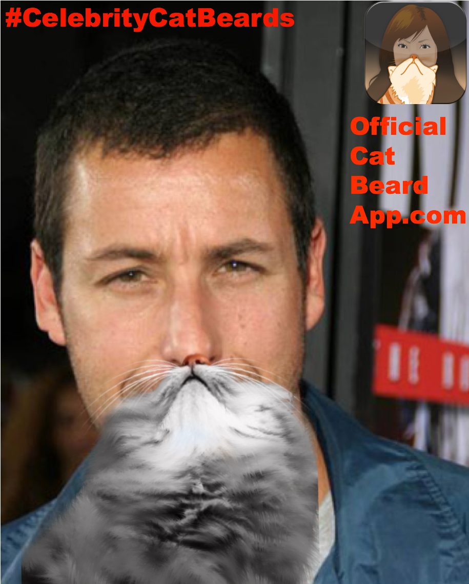 Download Adamsandler - Adam Sandler PNG Image with No Background ...