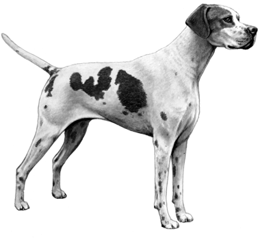 Download Pointer - B&w - Bowers & Wilkins PNG Image with No Background ...