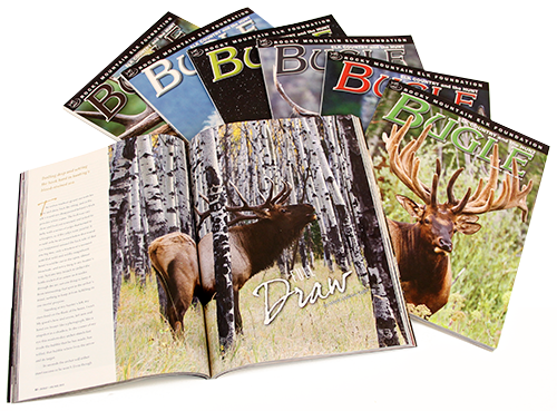 Download Bugel Magazine PNG Image with No Background - PNGkey.com