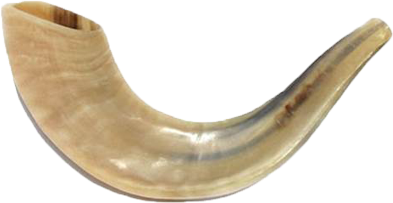 Shofar Horn - Free Transparent PNG Download - PNGkey