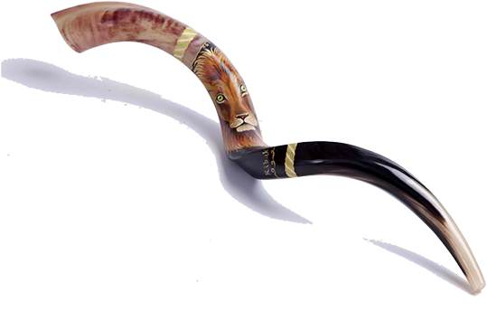 Download Back To Top ^ - Shofar PNG Image with No Background - PNGkey.com