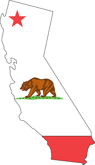 Flag, Outline, States, State, United, America - California State Flag ...