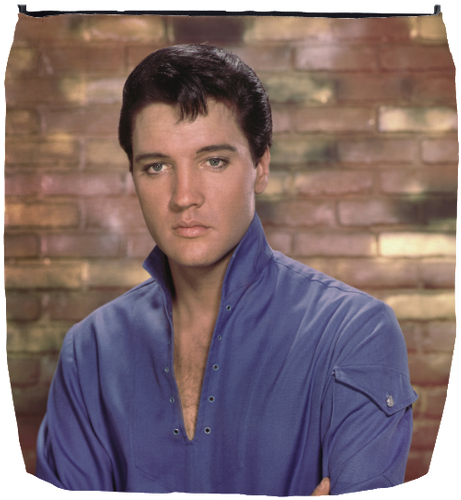 Download Elvis In Blue PNG Image with No Background - PNGkey.com
