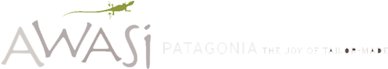 Download Logo Awasi Horizontalcurvas Copy Transparant - Hotel Awasi ...