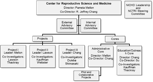 Download Crsmorgchart - Uc San Diego Organisational Chart PNG Image ...