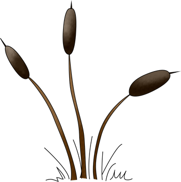 Download The Sussex Cat Tail Png - Cattail PNG Image with No Background ...