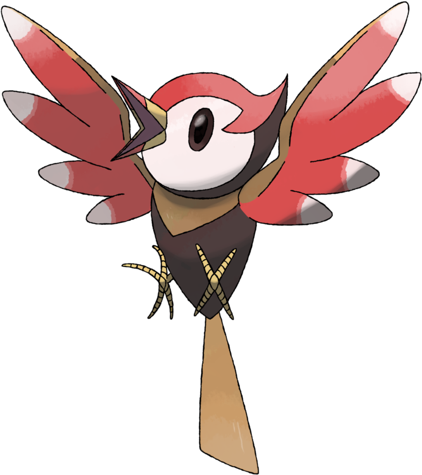 All Bird Pokemon Names