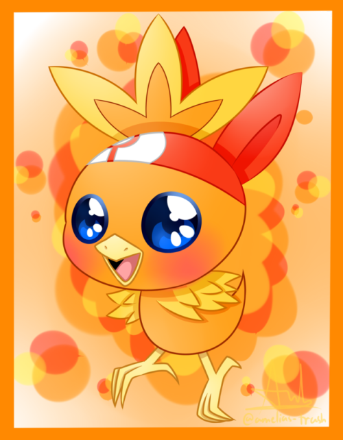 Torchic - Free Transparent PNG Download - PNGkey