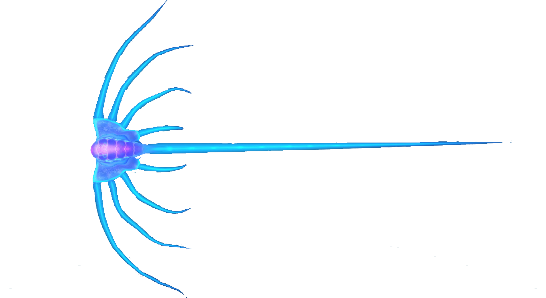 Jellyray Fauna - Fauna - Free Transparent PNG Download - PNGkey