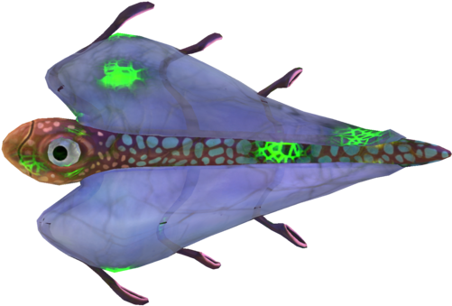 Download Bladderfish Png PNG Image with No Background - PNGkey.com