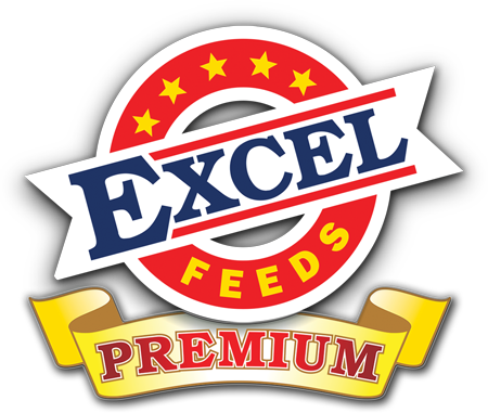Download Excel Premium - Excel Feeds PNG Image with No Background ...