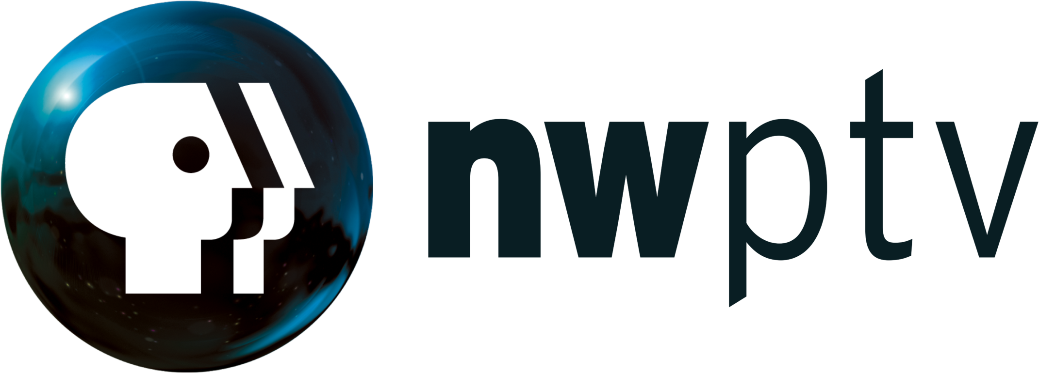 Download Nwptv Logo - Customized Screen Printed Flag PNG Image with No ...