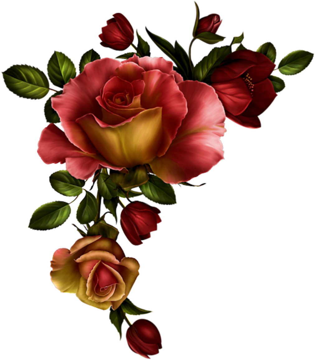 Download Red Rose Clipart Divider - Watercolor Red Flowers Png PNG ...