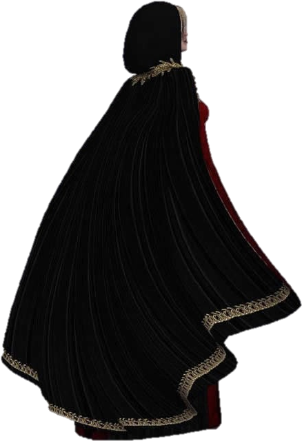 Download Below - Hooded Cloak PNG Image with No Background - PNGkey.com