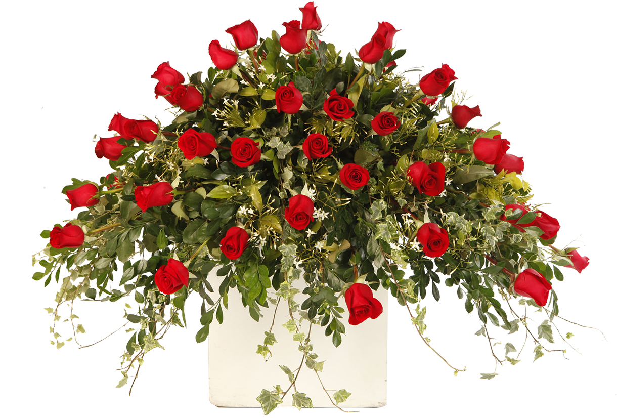 Download Dozen Red Roses Funeral Tribute PNG Image with No Background ...