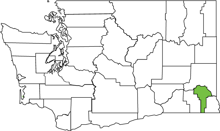 Download Garfield County Spotlight - Art Print: Washington My Roots Map ...