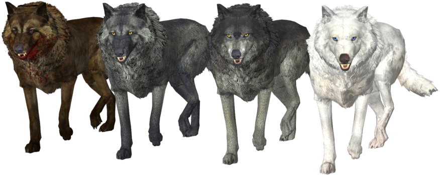 Wolf Pack Free Png Image - Pack Of Wolves Png - Free Transparent PNG ...