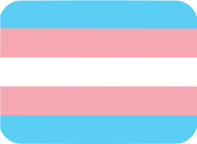 Download Transgender Pride Flag Discord Emoji - Pride Flag Discord ...