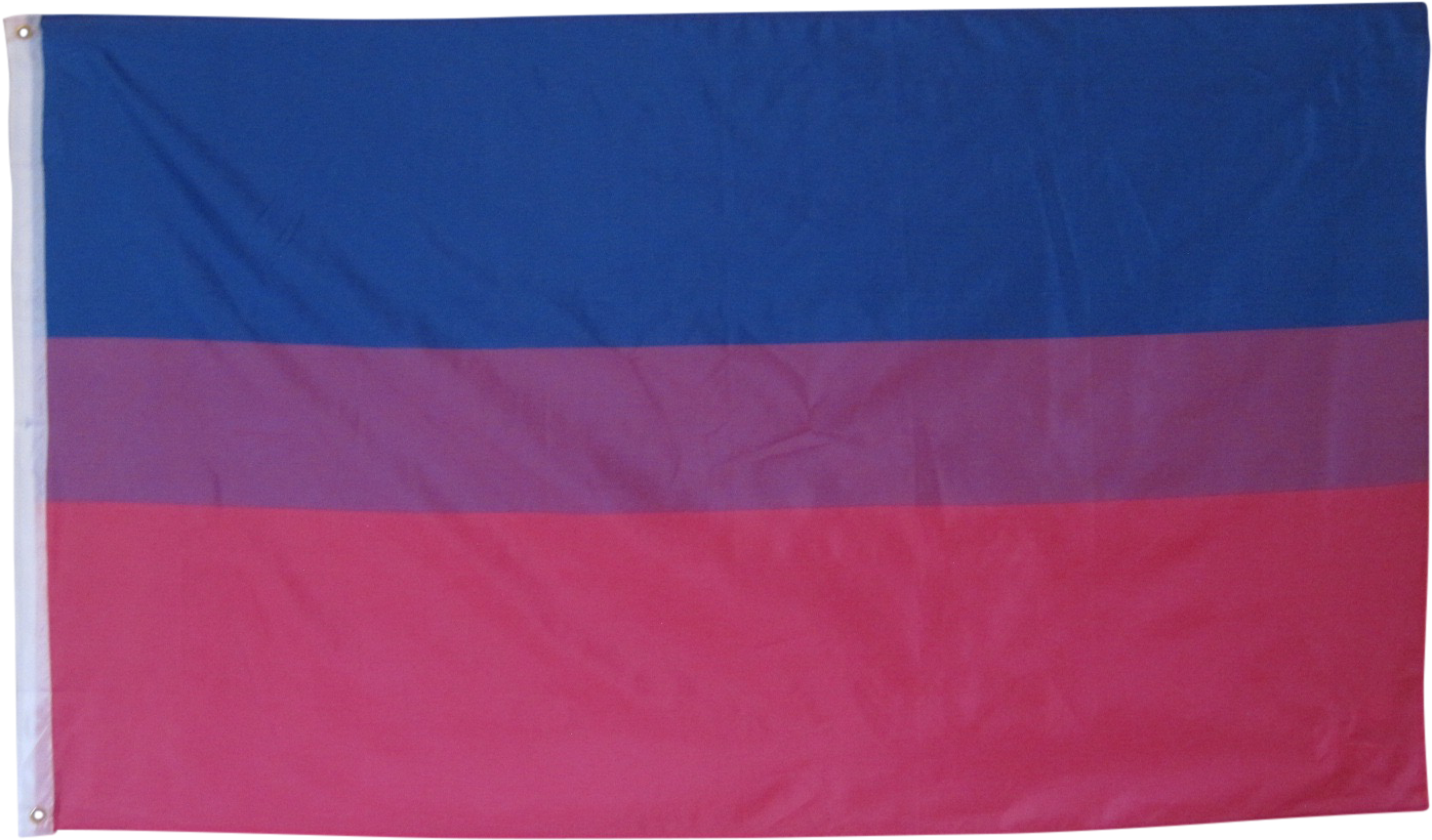 Bi-sexual Pride Flag - Bisexual Pride Flag - Free Transparent PNG ...