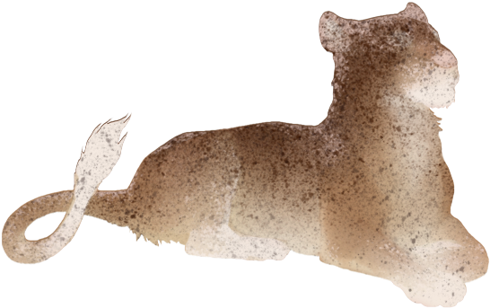 Download Aaahufl - Domestic Short-haired Cat PNG Image with No ...