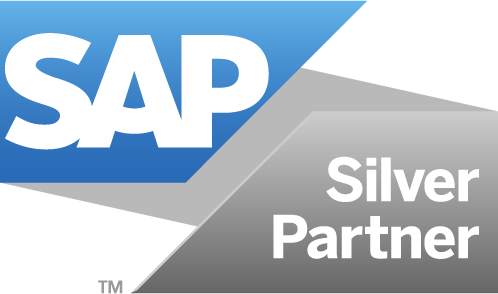 Download Secure Integration - Sap Silver Partner Logo PNG Image with No Background - PNGkey.com