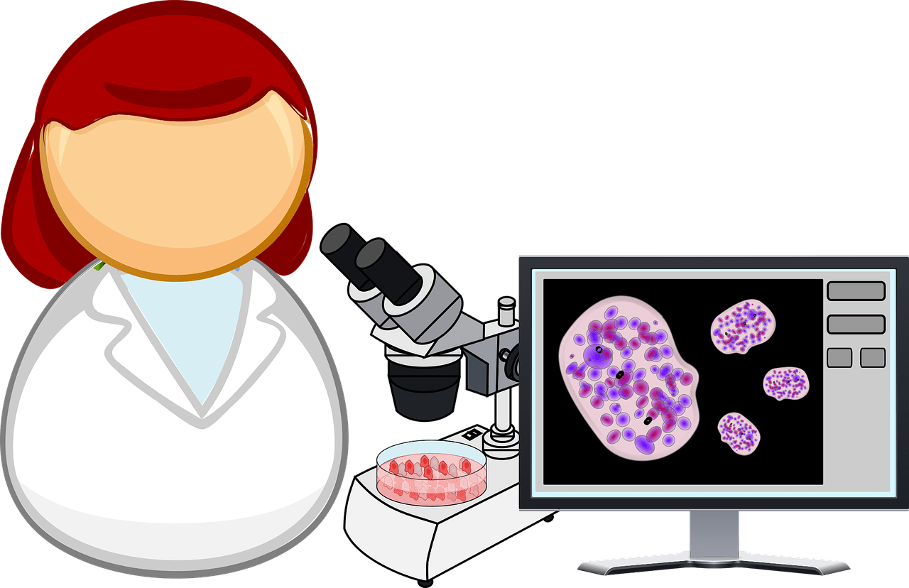 Download And Tissue Free Commercial - Cellular Biology Clipart PNG ...