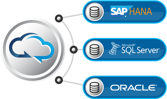 Download Sap Database - Database PNG Image with No Background - PNGkey.com